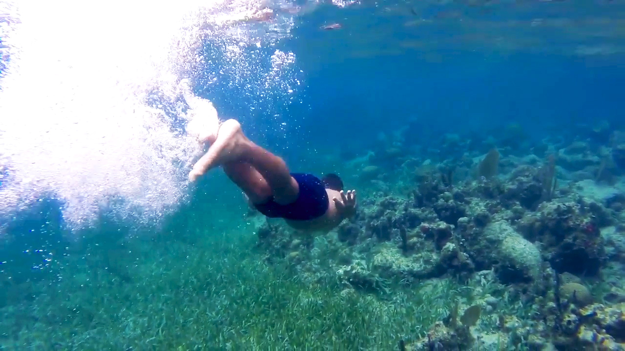 My Guanaja » The Green Island